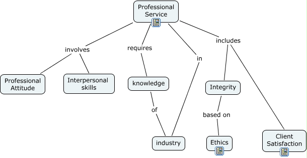 Professional service